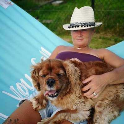 greatbritishdogs.co.uk | Dog story | Great British Dogs